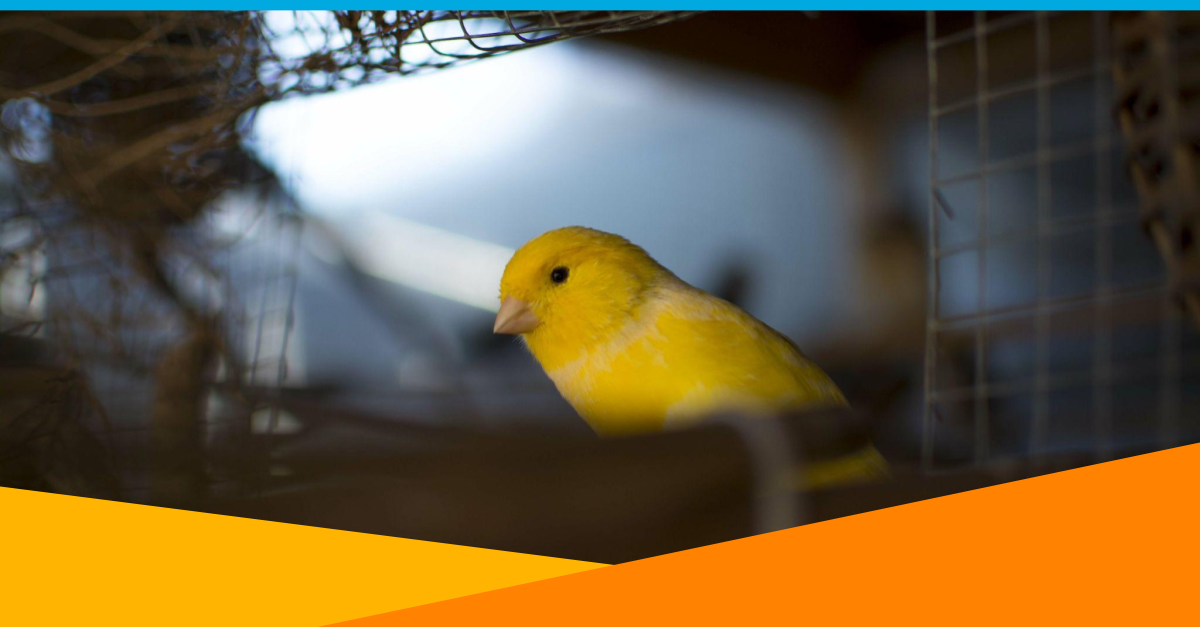 Canary Testing at OneLogin | OneLogin Developer Blog